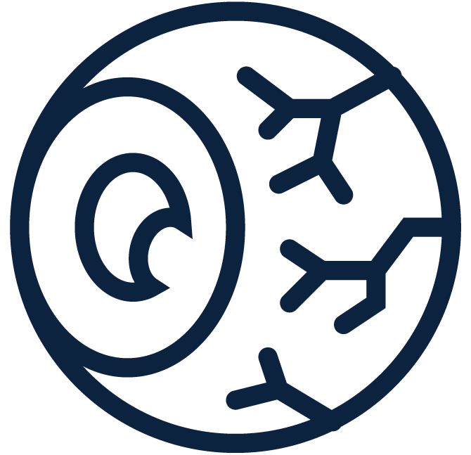 Diabetic Retinopathy – Prevention of Blindness Society of Metropolitan ...